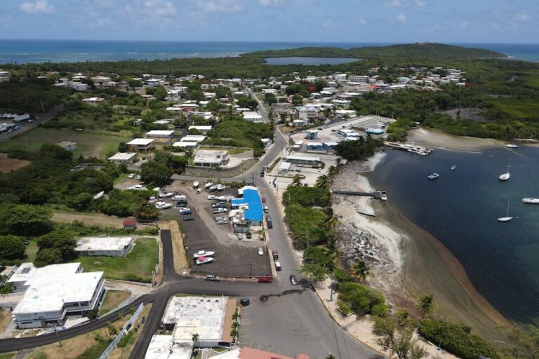 Home - Costamar Group