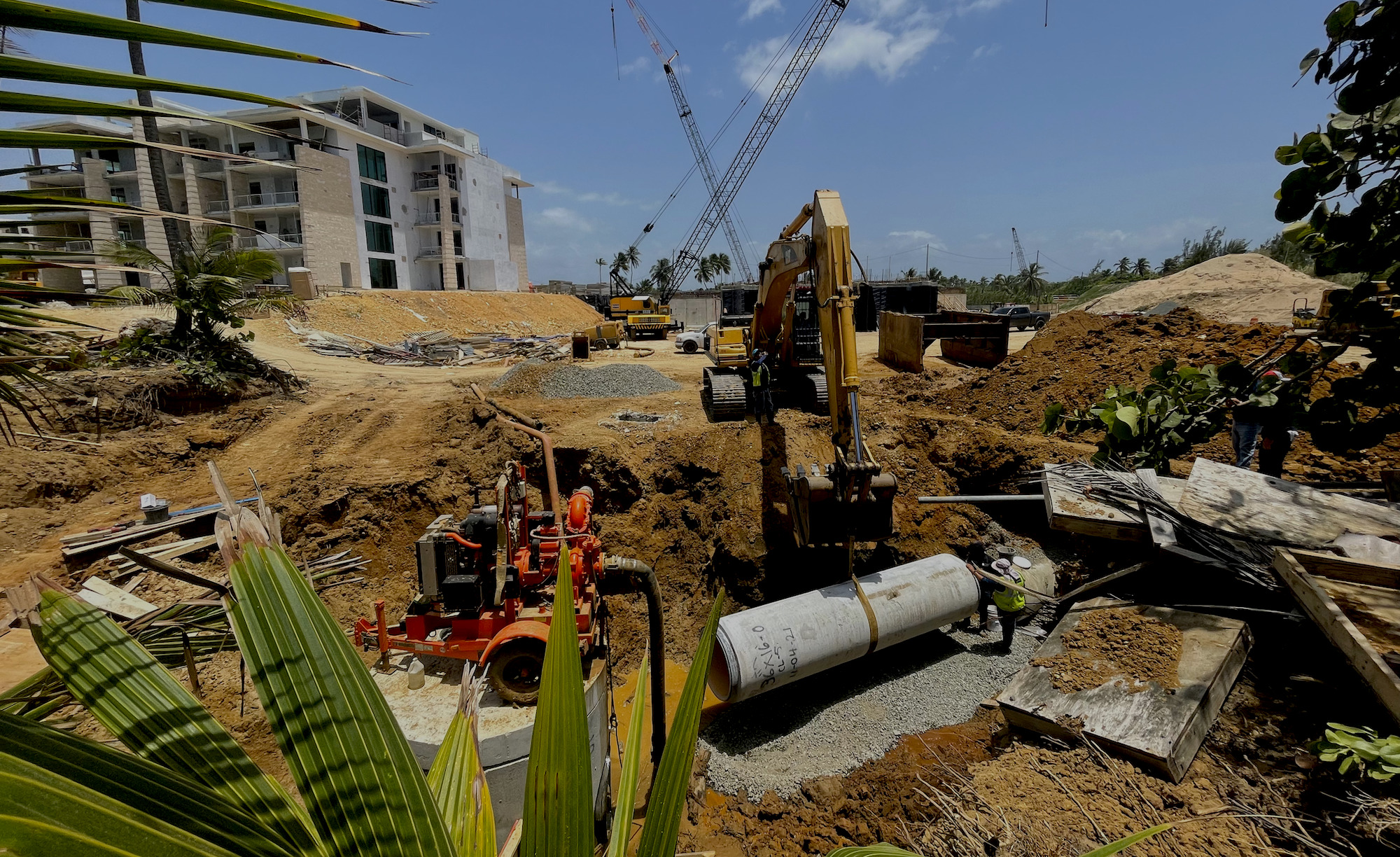 Home - Costamar Group